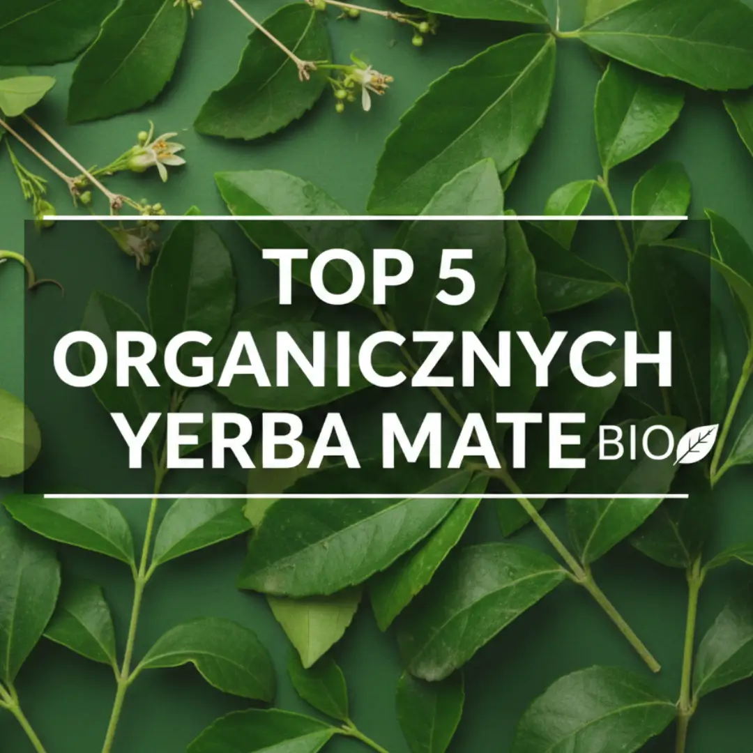 Ranking Top 5: Najlepsze Organiczne Yerba Mate BIO Matea24 - Sklep ...