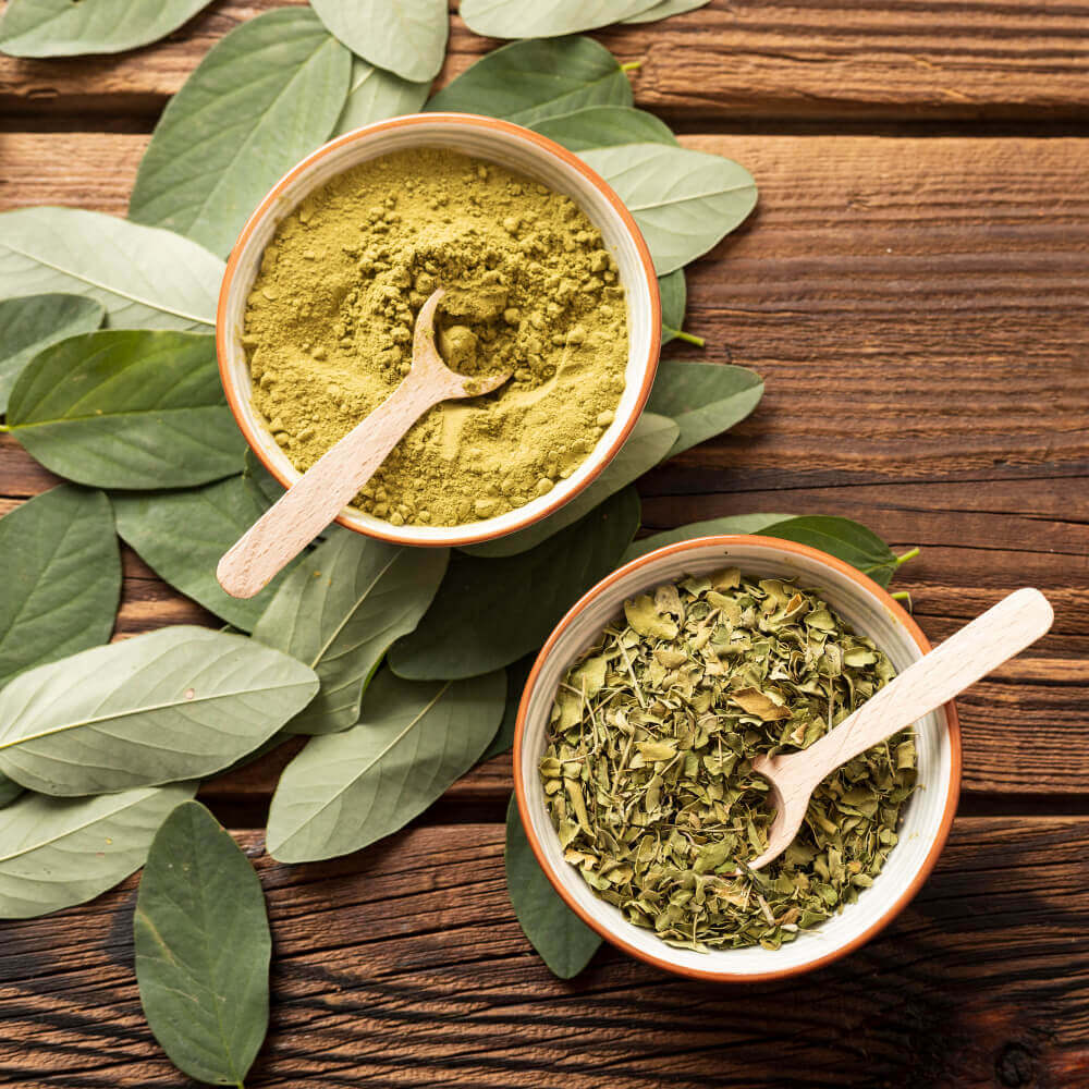Yerba Mate Premium: Czy Warto Wydać Więcej? Matea24 - Sklep Yerba Mate ...